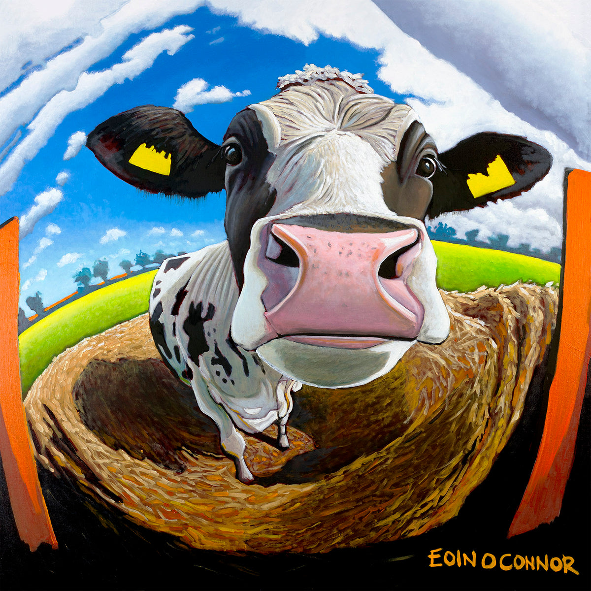 Eoin O Connor Artist | Irish Landscape Paintings and Prints Artwork