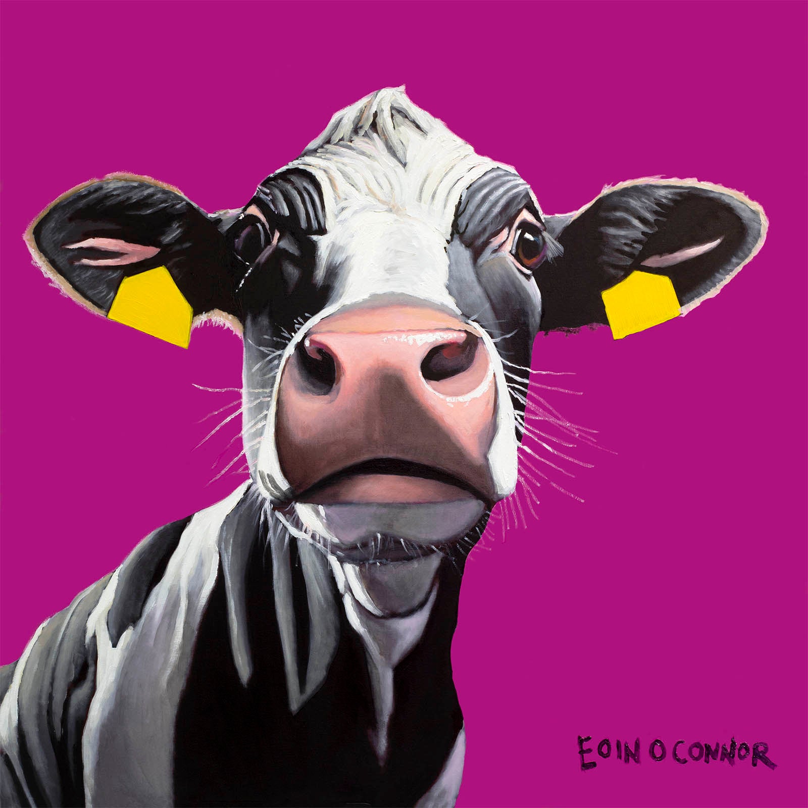 Eoin O Connor Artist | Irish Landscape Paintings and Prints Artwork