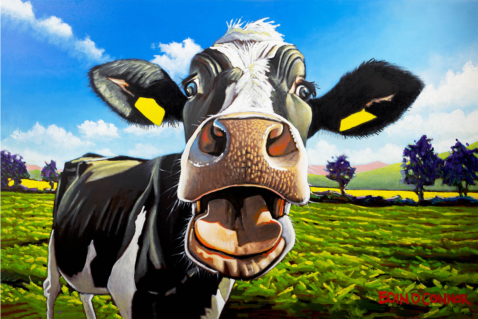 Eoin O Connor Artist | Irish Landscape Paintings and Prints Artwork